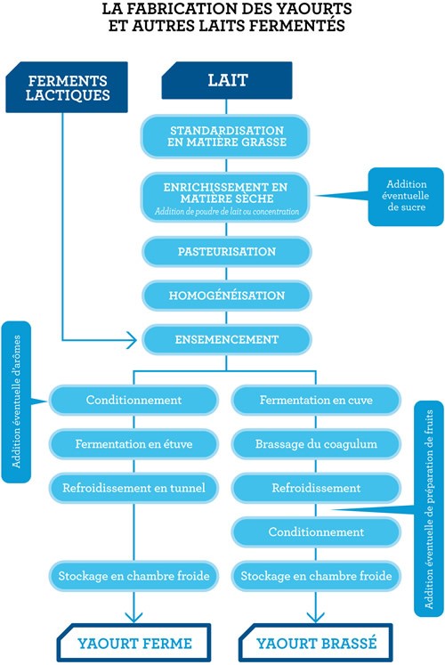 Fabrication du yaourt nature